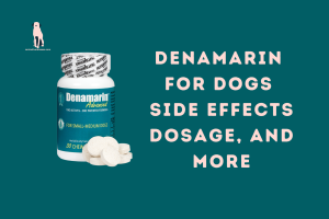 How To Give Denamarin To Dogs? A Comprehensive Guide - Canine Liver ...