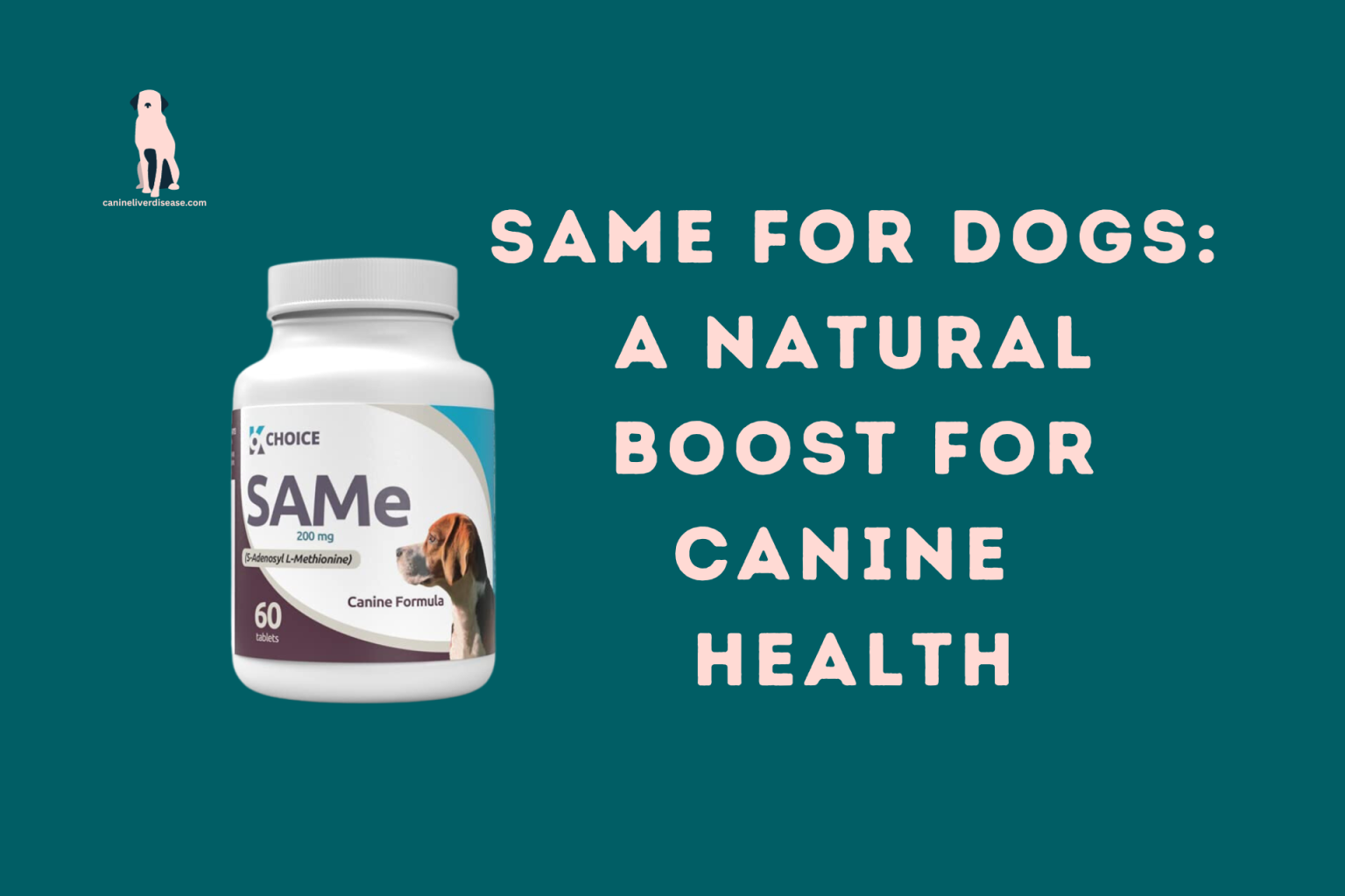 SAMe for Dogs: A Natural Boost for Canine Health - Canine Liver Disease ...