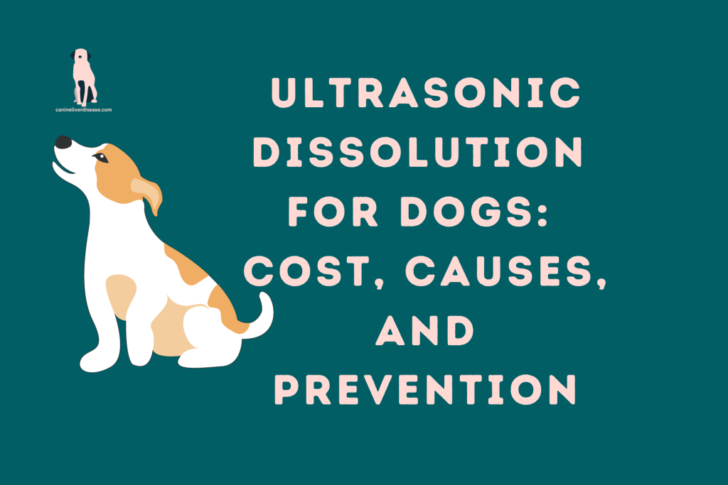 Ultrasonic Dissolution for Dogs: Cost, Causes, and Prevention - Canine ...