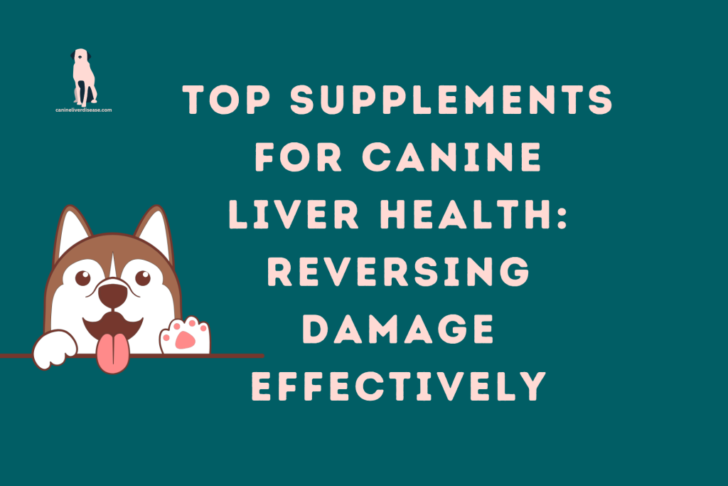 What Are the Best Liquid Liver Supplements for Dogs? - Canine Liver ...